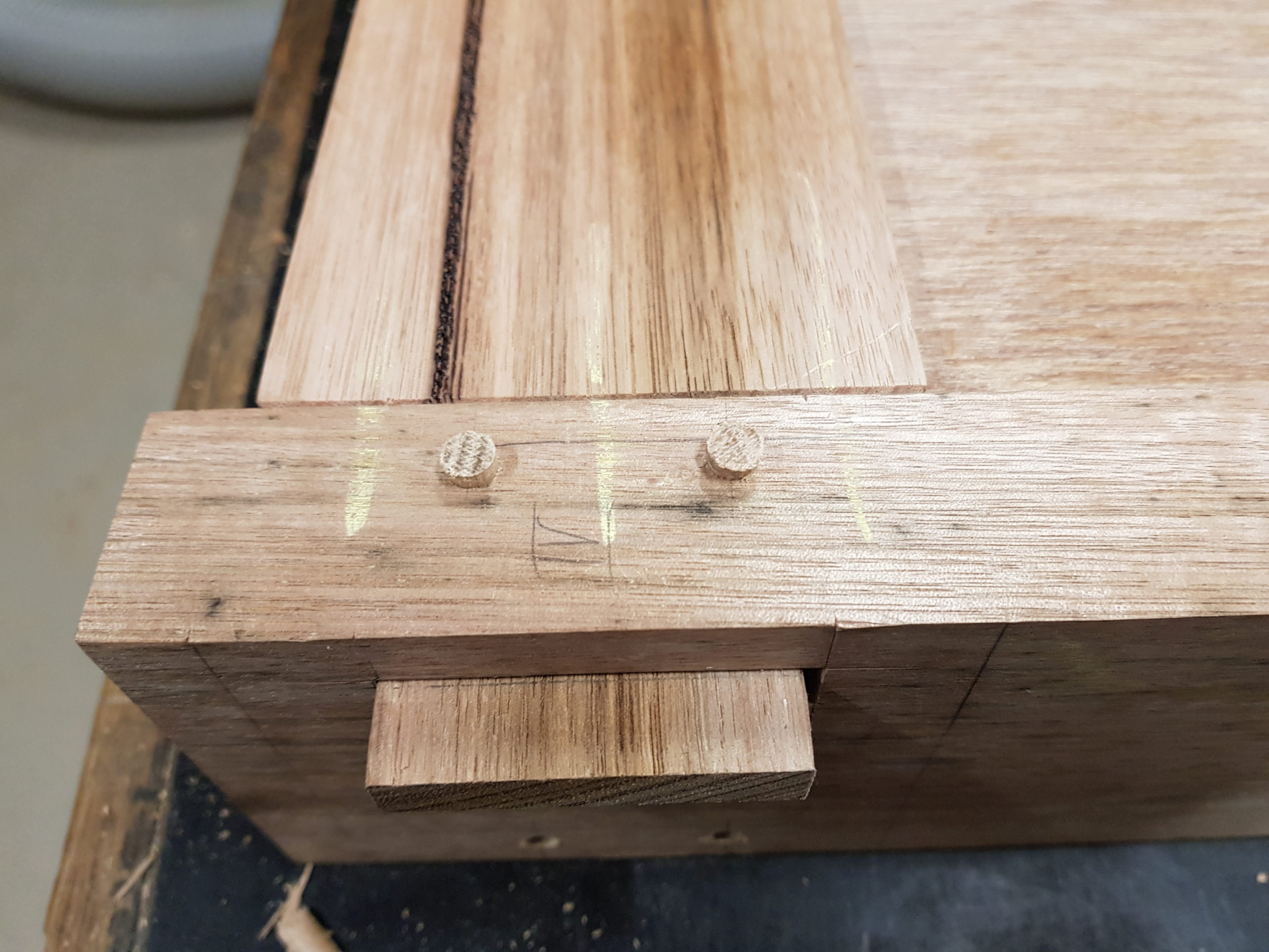 Attempting to [CTRL]+Z a half blind draw-bored mortice and tenon ...
